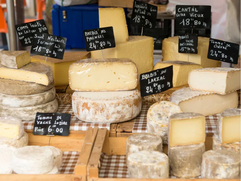 10 Fun Facts about Nantes: Discover Hidden Gems and Legends