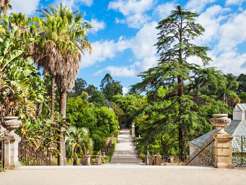 Discover Jardim Botanico: A Gem of Plant Diversity