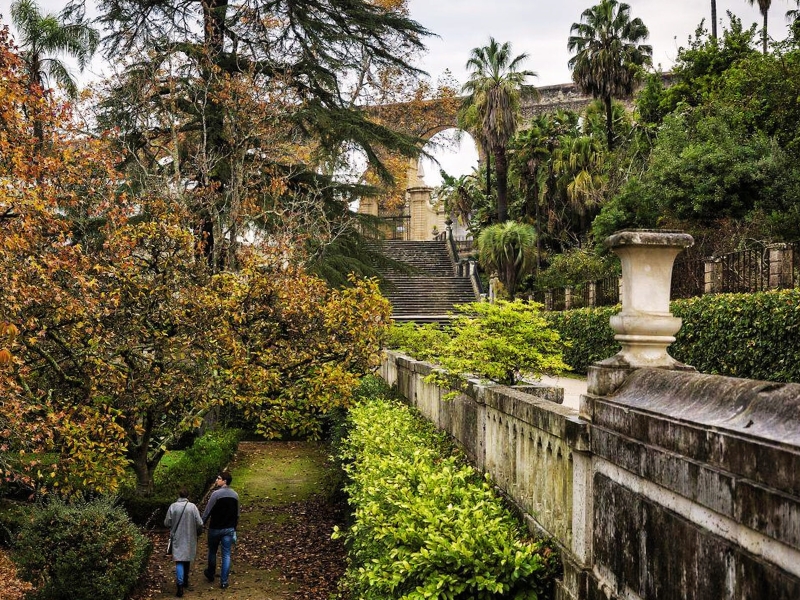 Discover Jardim Botanico: A Gem of Plant Diversity