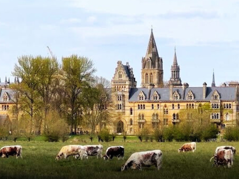 Discover Christ Church Meadow: Oxford's Serene Green Escape