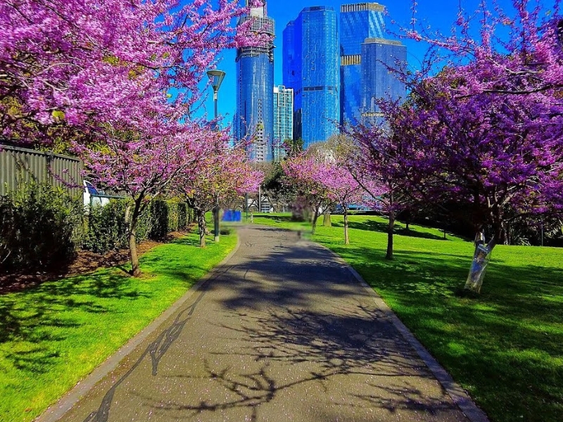 Discover Flagstaff Gardens: Melbourne's Historic Green Oasis
