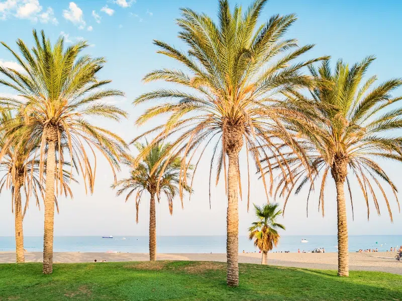Découvrez Playa la Malagueta : La plage emblématique de Malaga