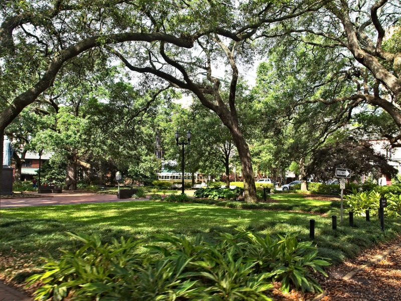 Découvrez Reynolds Square : Le joyau historique de Savannah