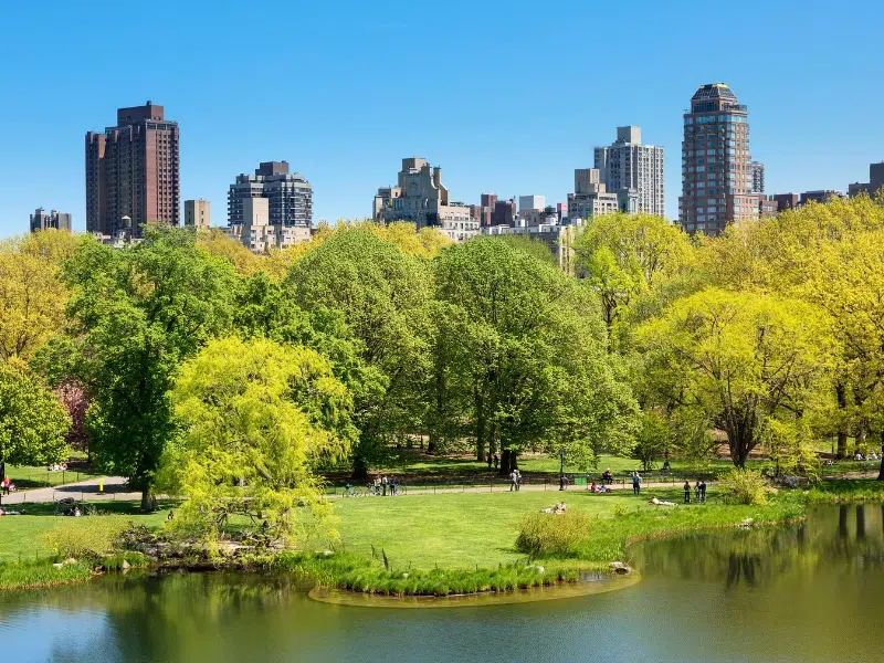 Discover the Marionette Theatre at Central Park's Swedish Cottage