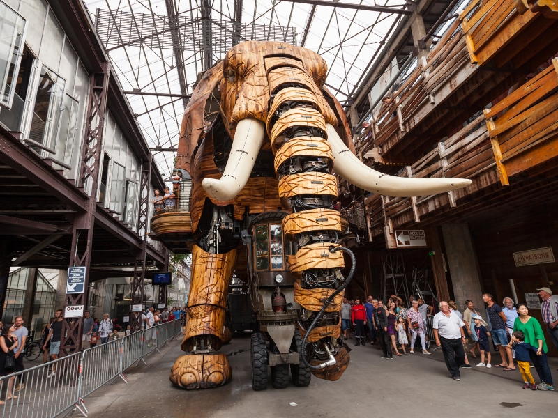Descubra el Museo de Historia Natural de Nantes: Una joya cultural